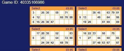 How To Play Online Bingo - All You Need To Know About Bingo Games