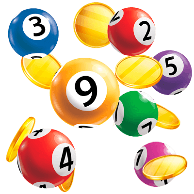 Online Bingo Software - WhichBingo