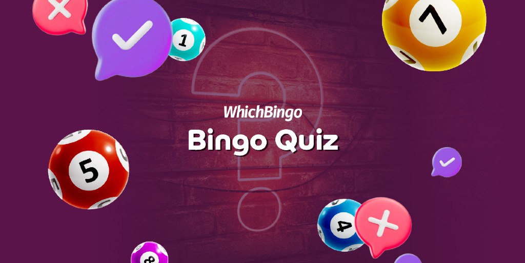 Fun Bingo Quizzes